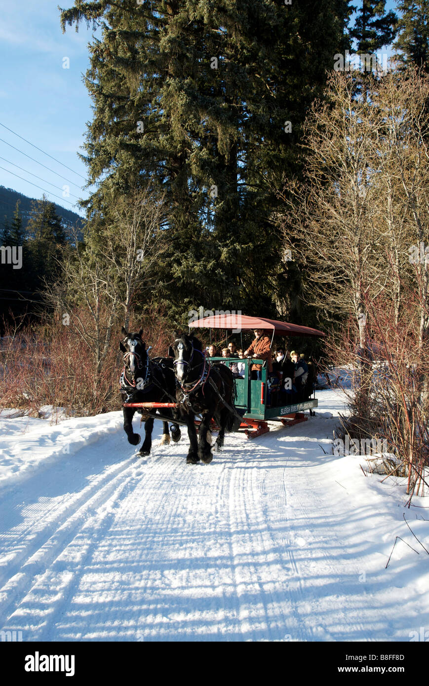 Horse Drawn Sleigh Ride High Resolution Stock Photography and Images ...