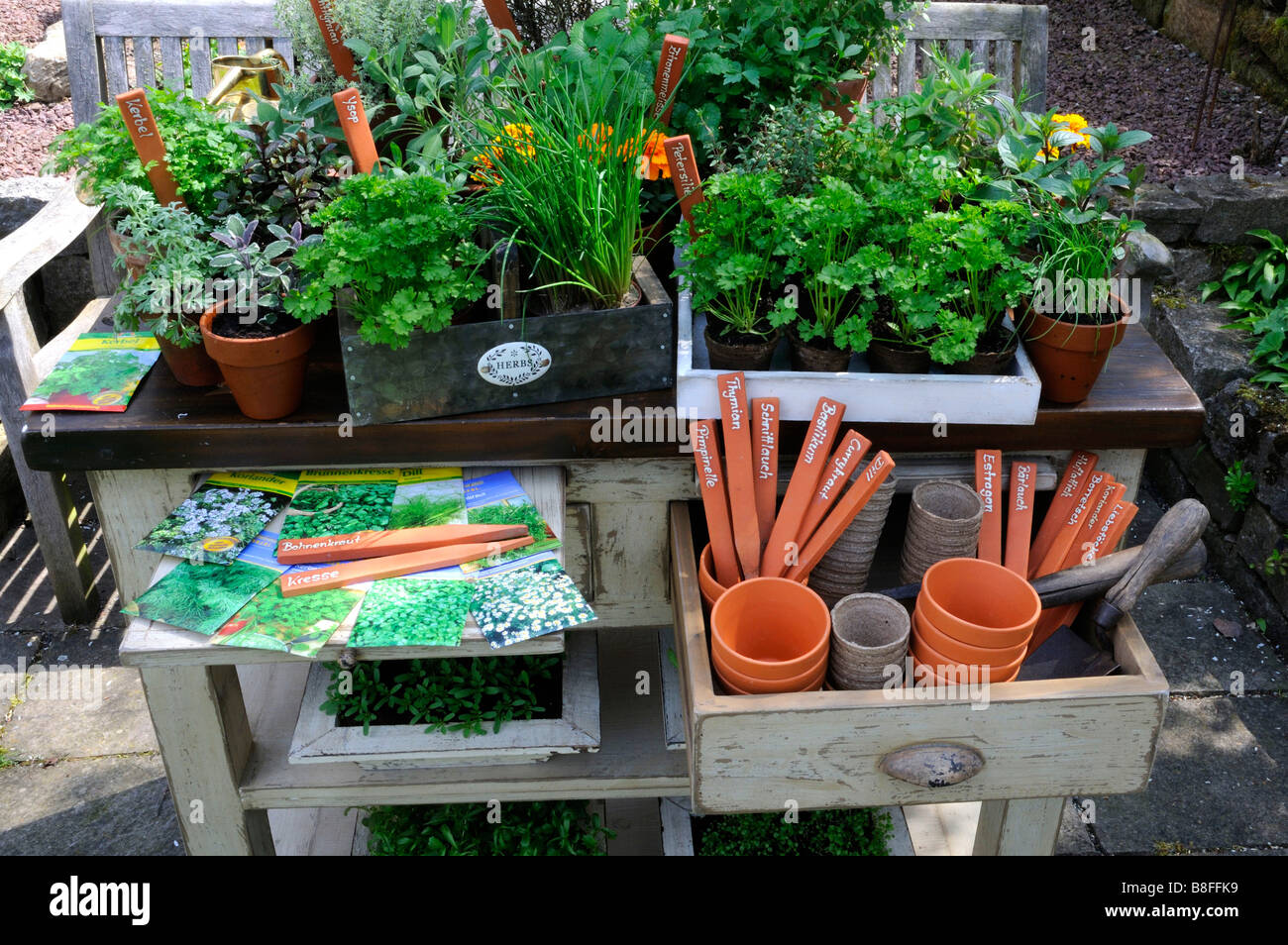 Herb cultivation hi-res stock photography and images - Alamy