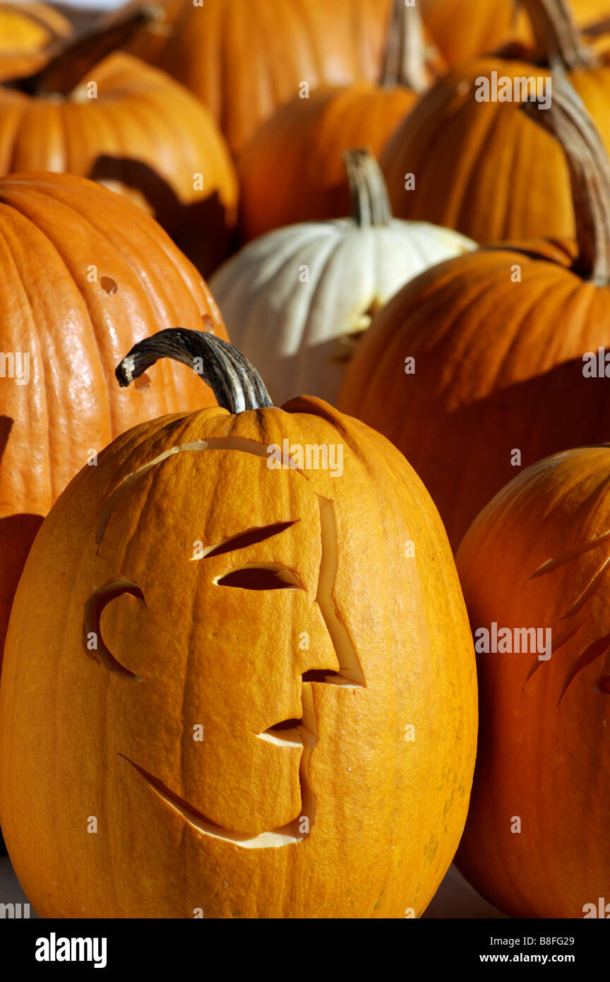 Outline pumpkin hi-res stock photography and images - Alamy