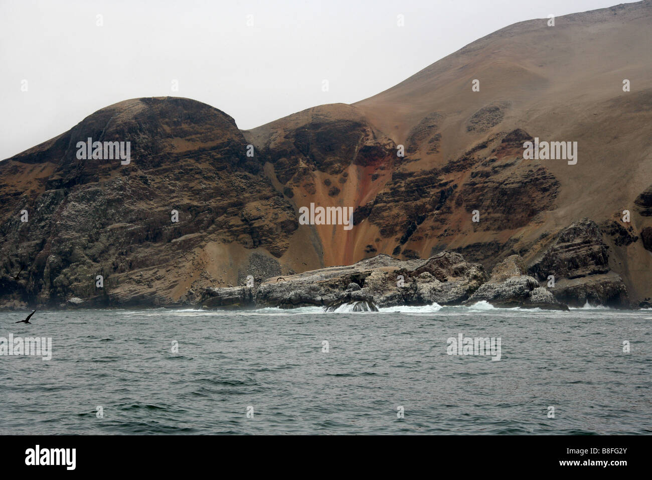 El Frontón, Callao Islands, Lima, Peru, South America Stock Photo - Alamy