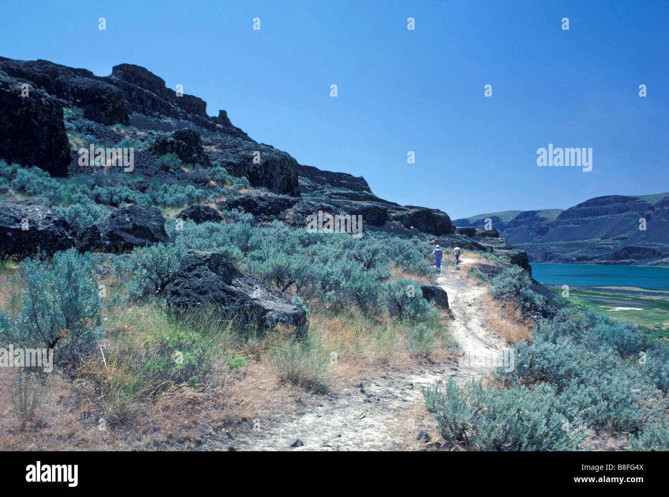 Lenore hi-res stock photography and images - Alamy