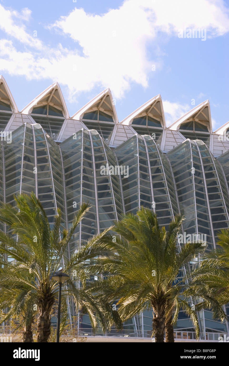Science Museum, City of Arts and Sciences, Valencia Stock Photo - Alamy