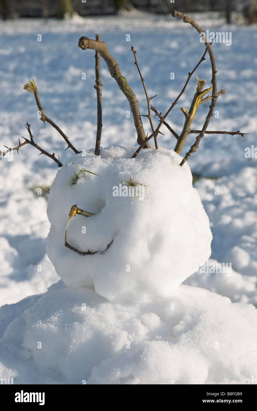 Head and shoulders of snowman with twig features and hair, London Stock ...