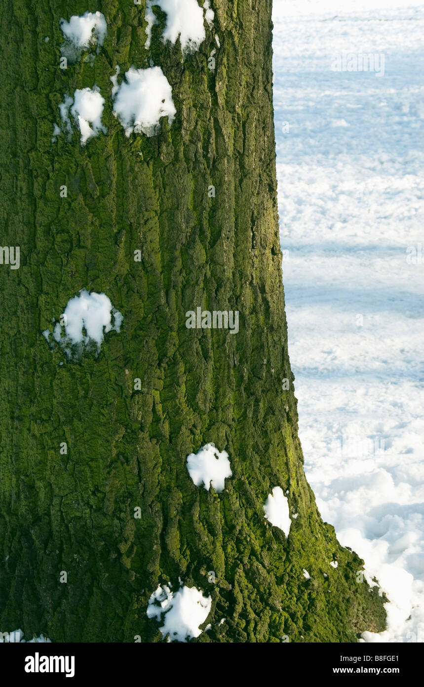 Snowball splat hi-res stock photography and images - Alamy