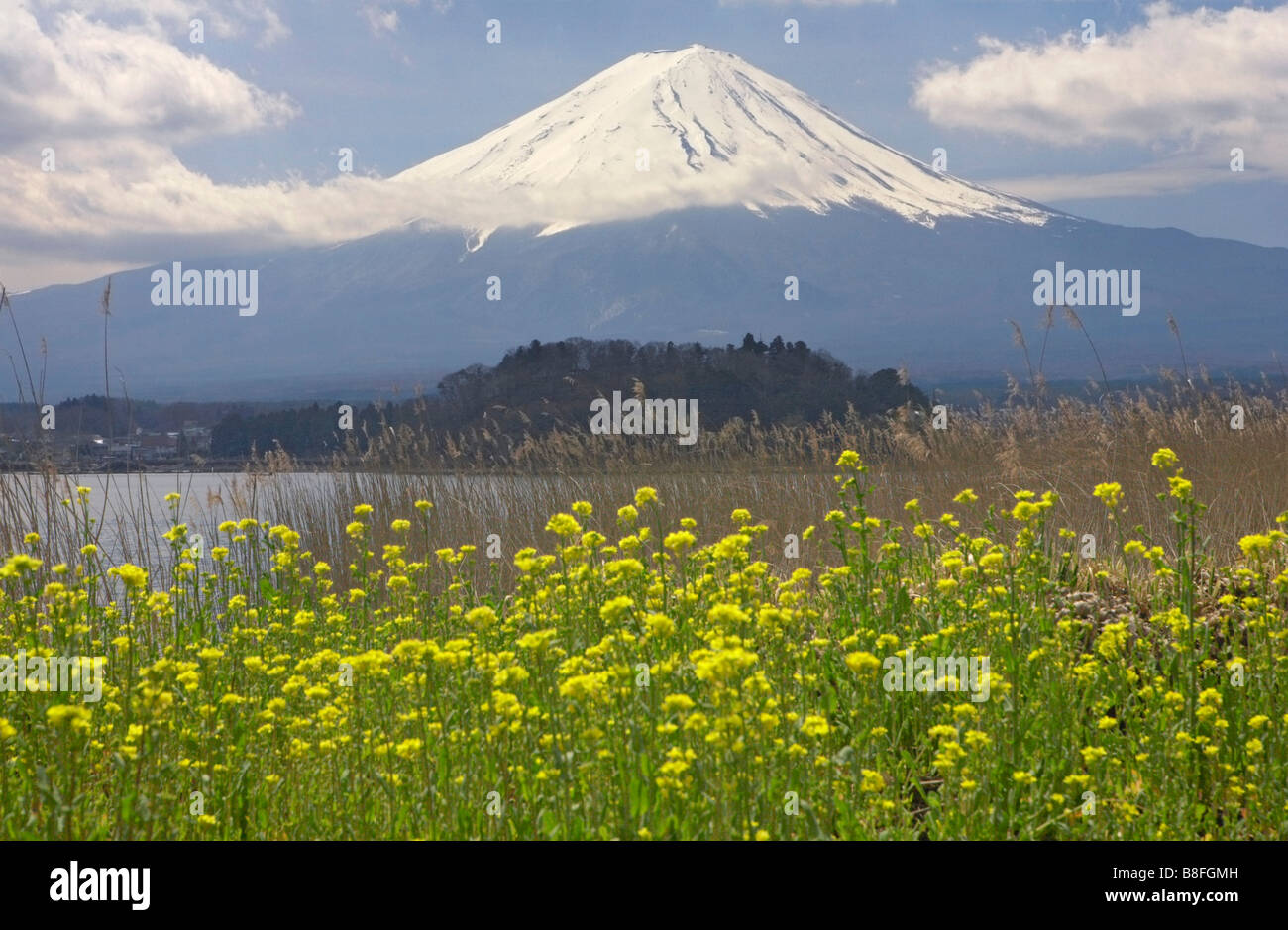 JAPAN MOUNT FUJI AND LAKE KAWAGUCHI KO Stock Photo - Alamy