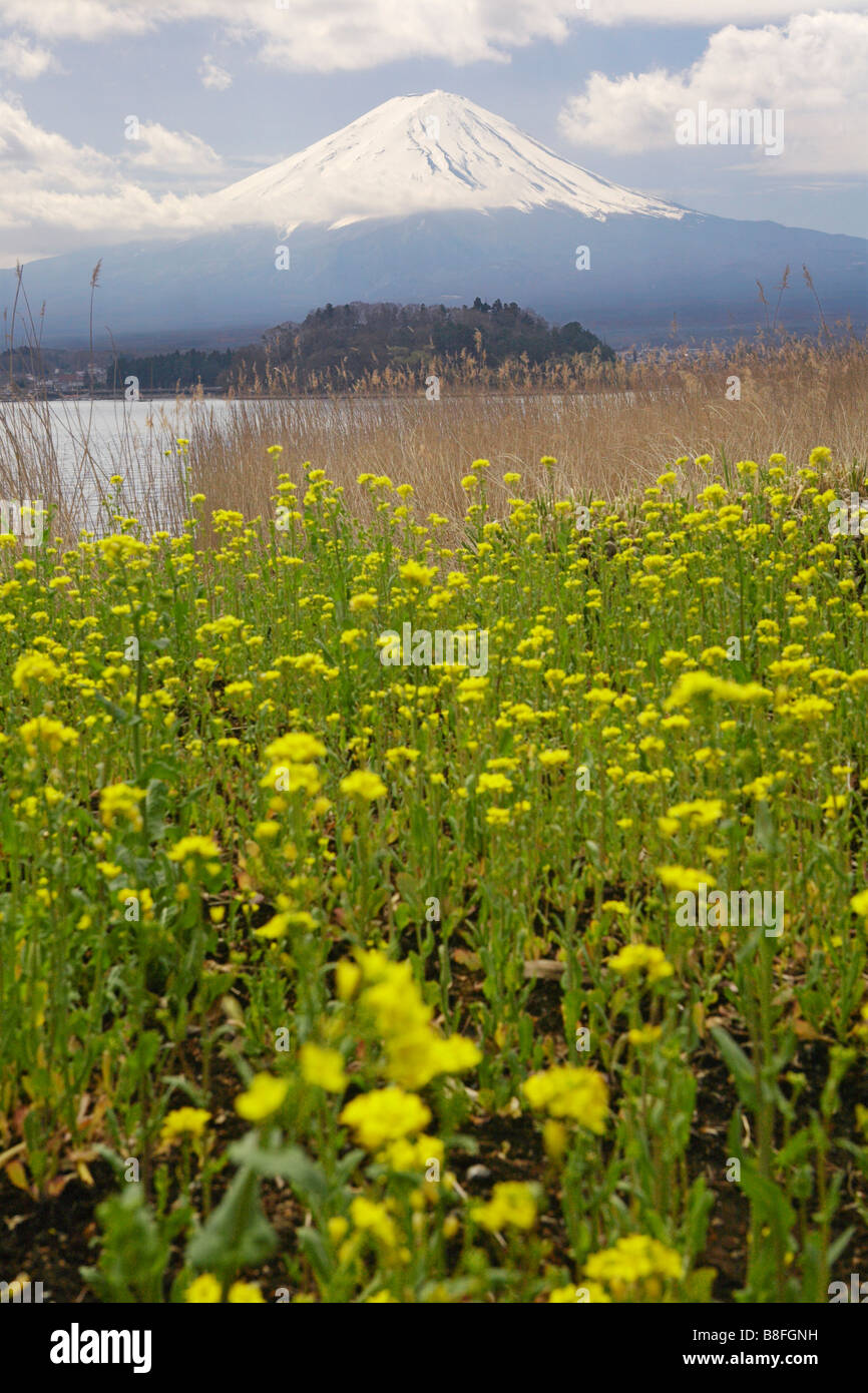 Vertical view mount fuji hi-res stock photography and images - Alamy