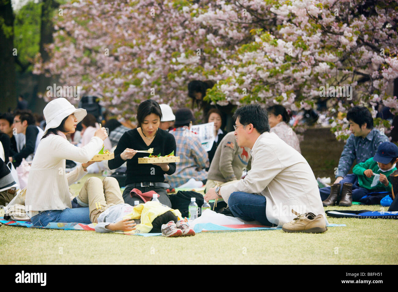 JAPAN TOKYO HANAMI SHINJUKU GYOEN PARK Stock Photo - Alamy