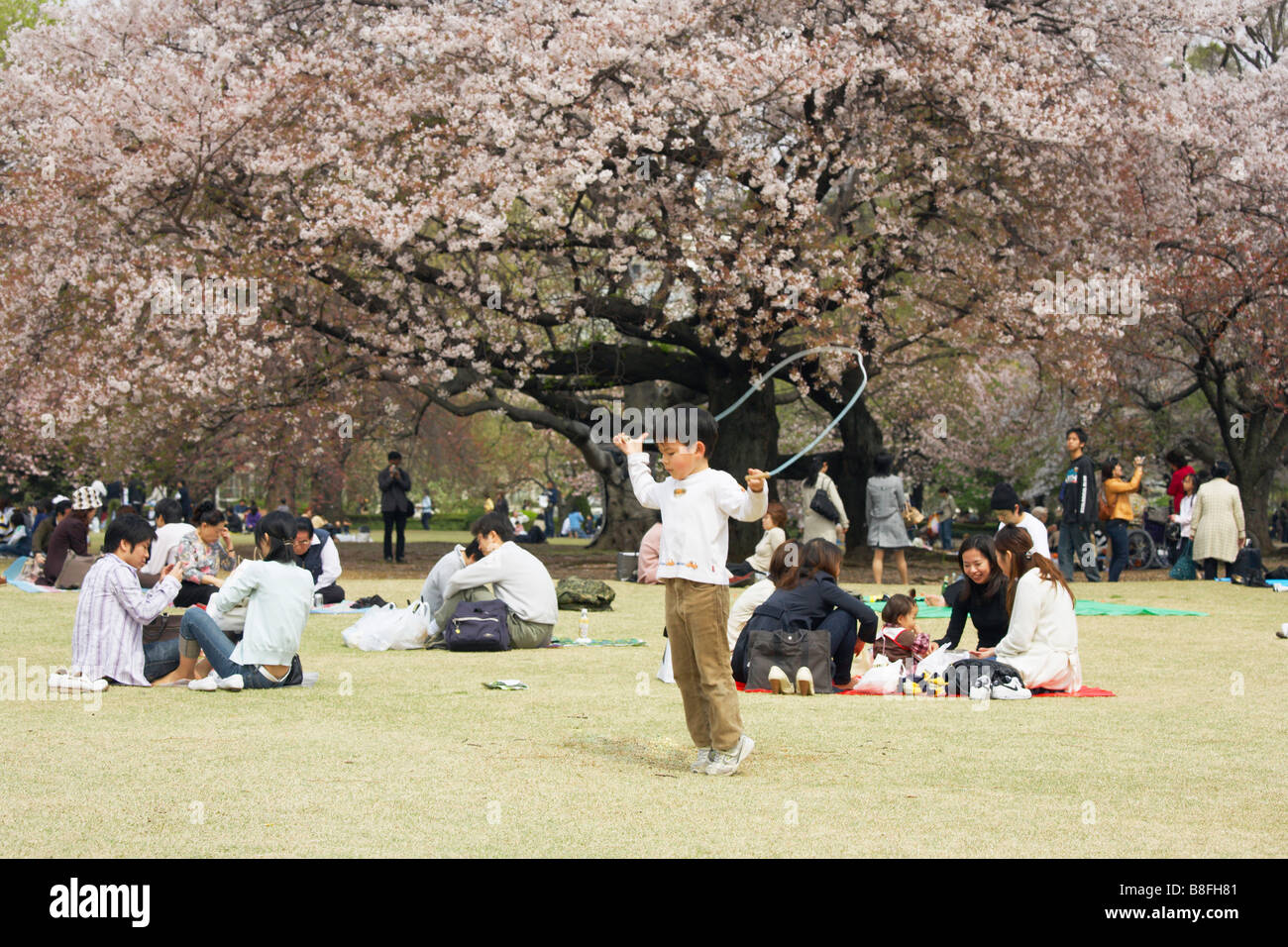 JAPAN TOKYO SHINJUKU GYOEN PARK Stock Photo - Alamy