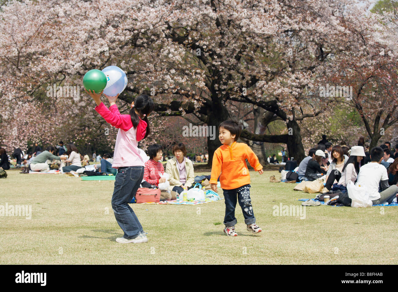 Japan Family Children Cherry Blossom High Resolution Stock Photography ...