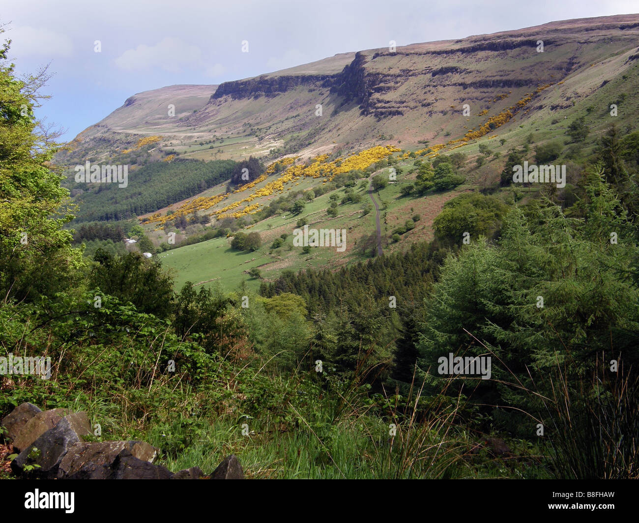 Glenariff Forrest Park, Northern Ireland Stock Photo - Alamy