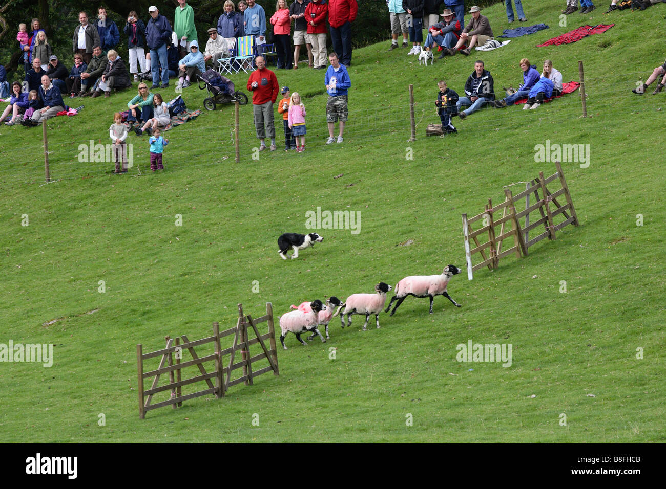 Colley gate hi-res stock photography and images - Alamy