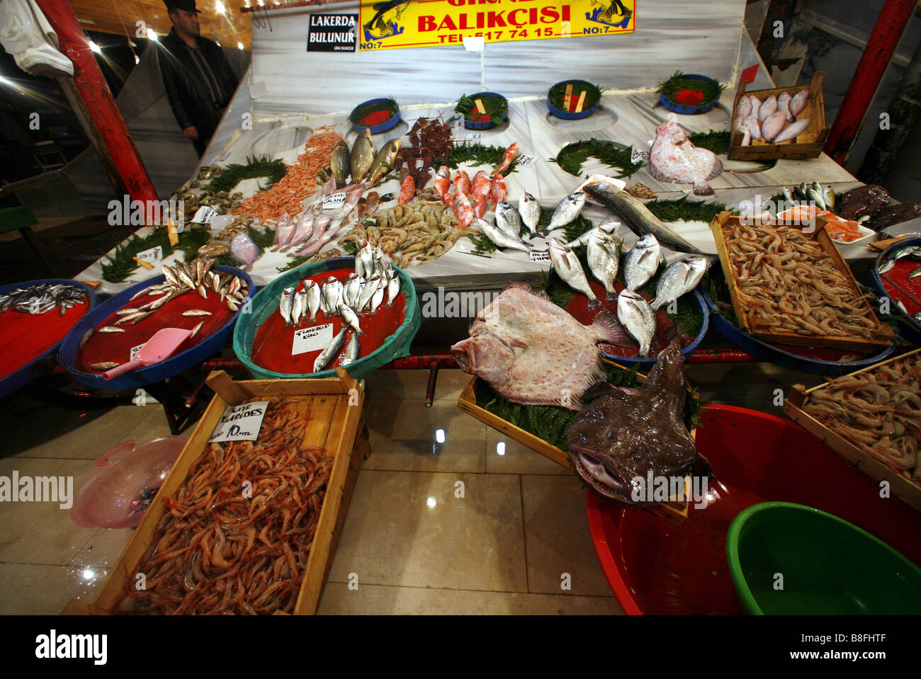 FISH MARKET STALL KUMKAPI ISTANBUL TURKEY KUMKAPI ISTANBUL TURKEY 11 ...