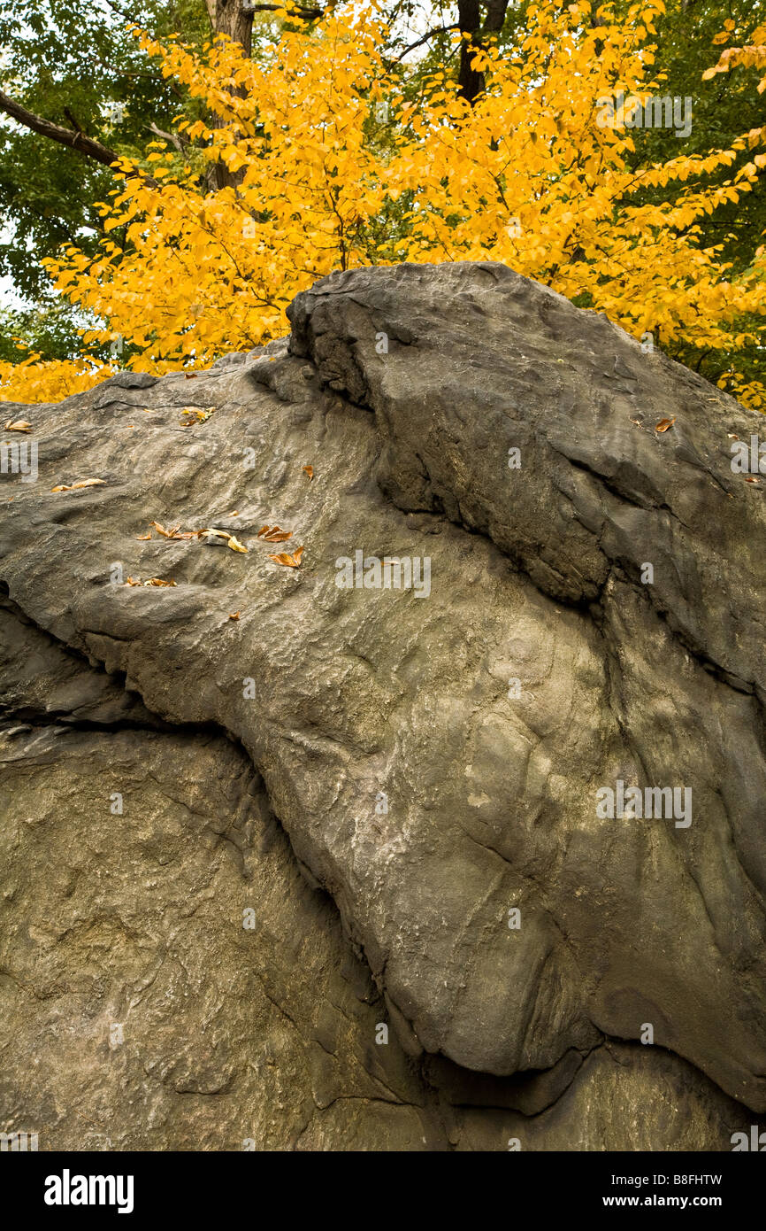 New york central park rock hi-res stock photography and images - Alamy