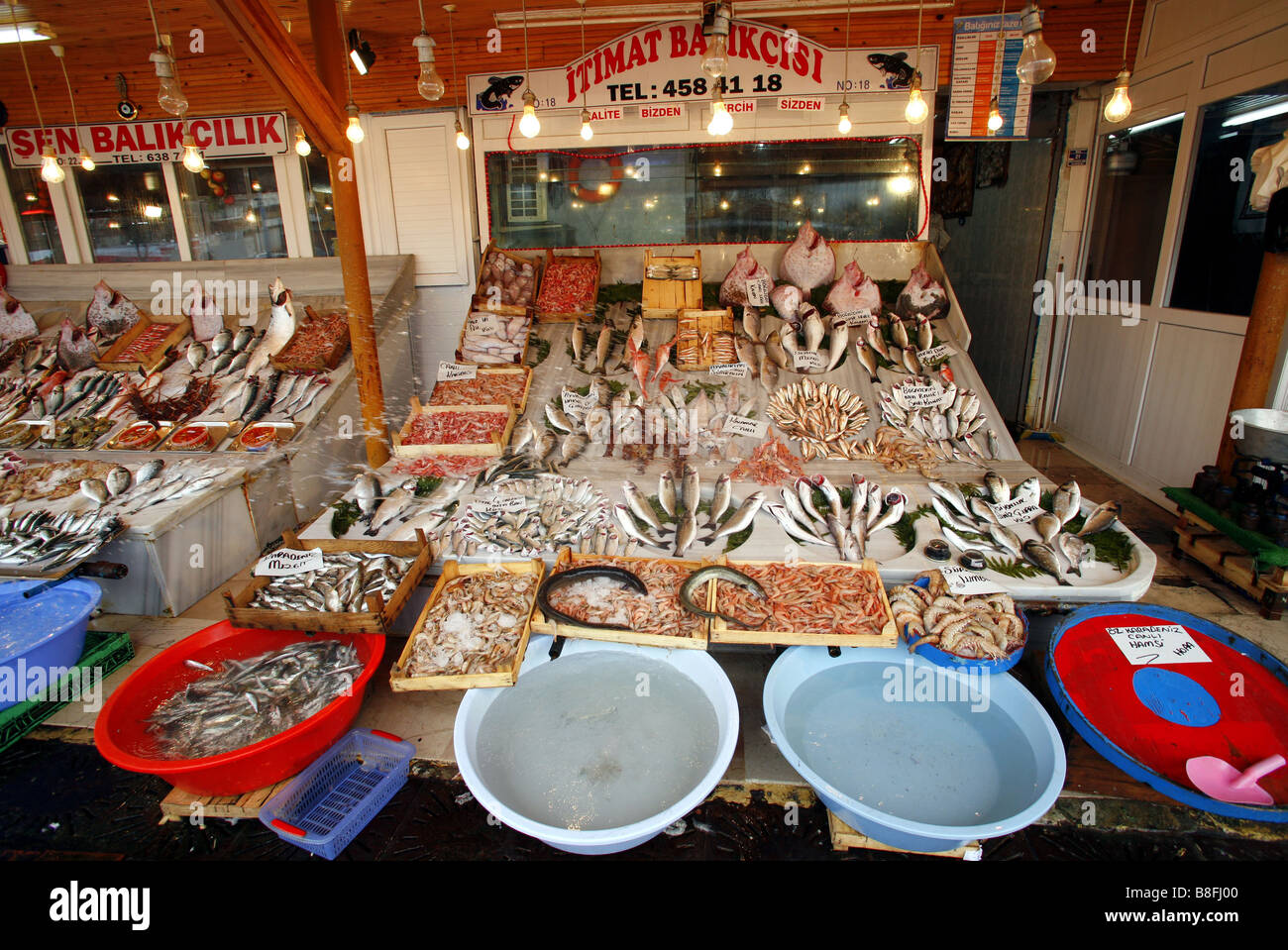 FISH MARKET STALL KUMKAPI ISTANBUL TURKEY KUMKAPI ISTANBUL TURKEY 12 ...