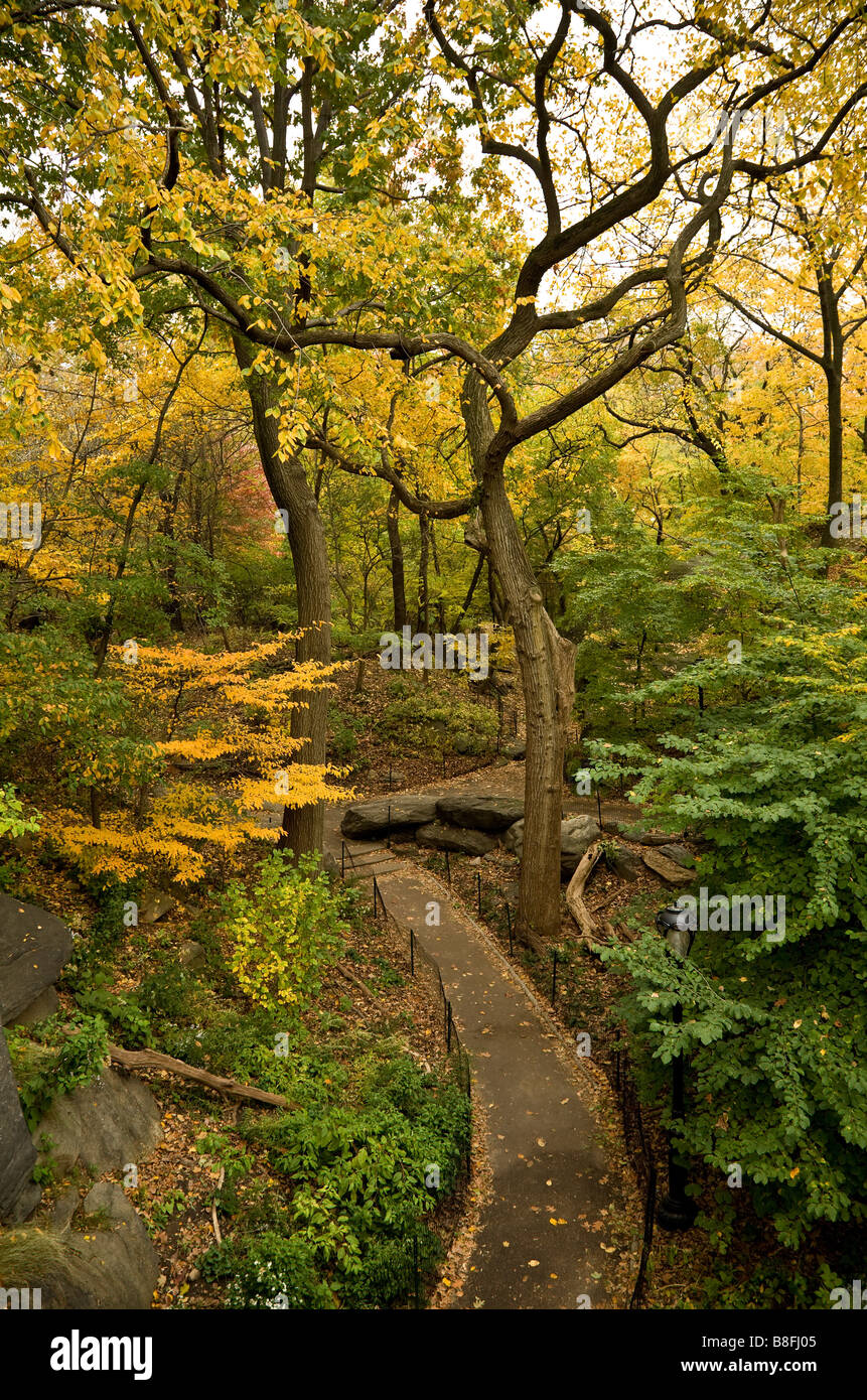 Pathway through Central Park, New York, during autumn Stock Photo - Alamy