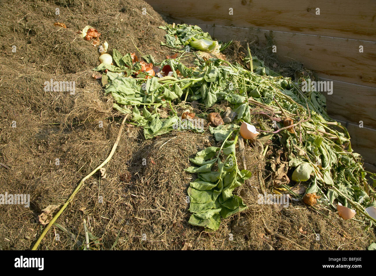 Compost in bin, close-up Stock Photo - Alamy