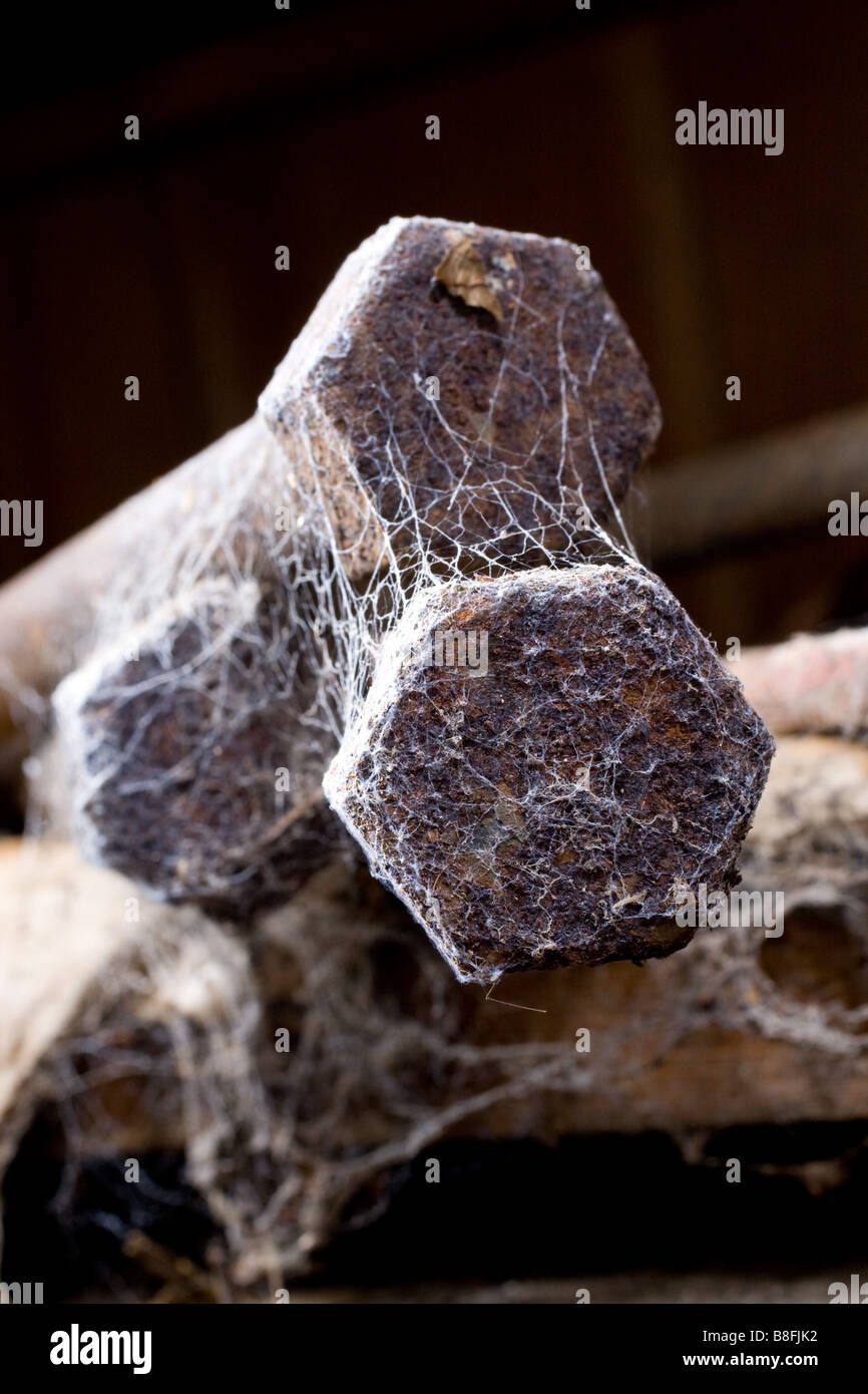 Rusty bolts covered by cobwebs Stock Photo - Alamy