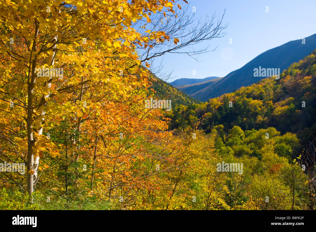 Crawford notch hi-res stock photography and images - Alamy
