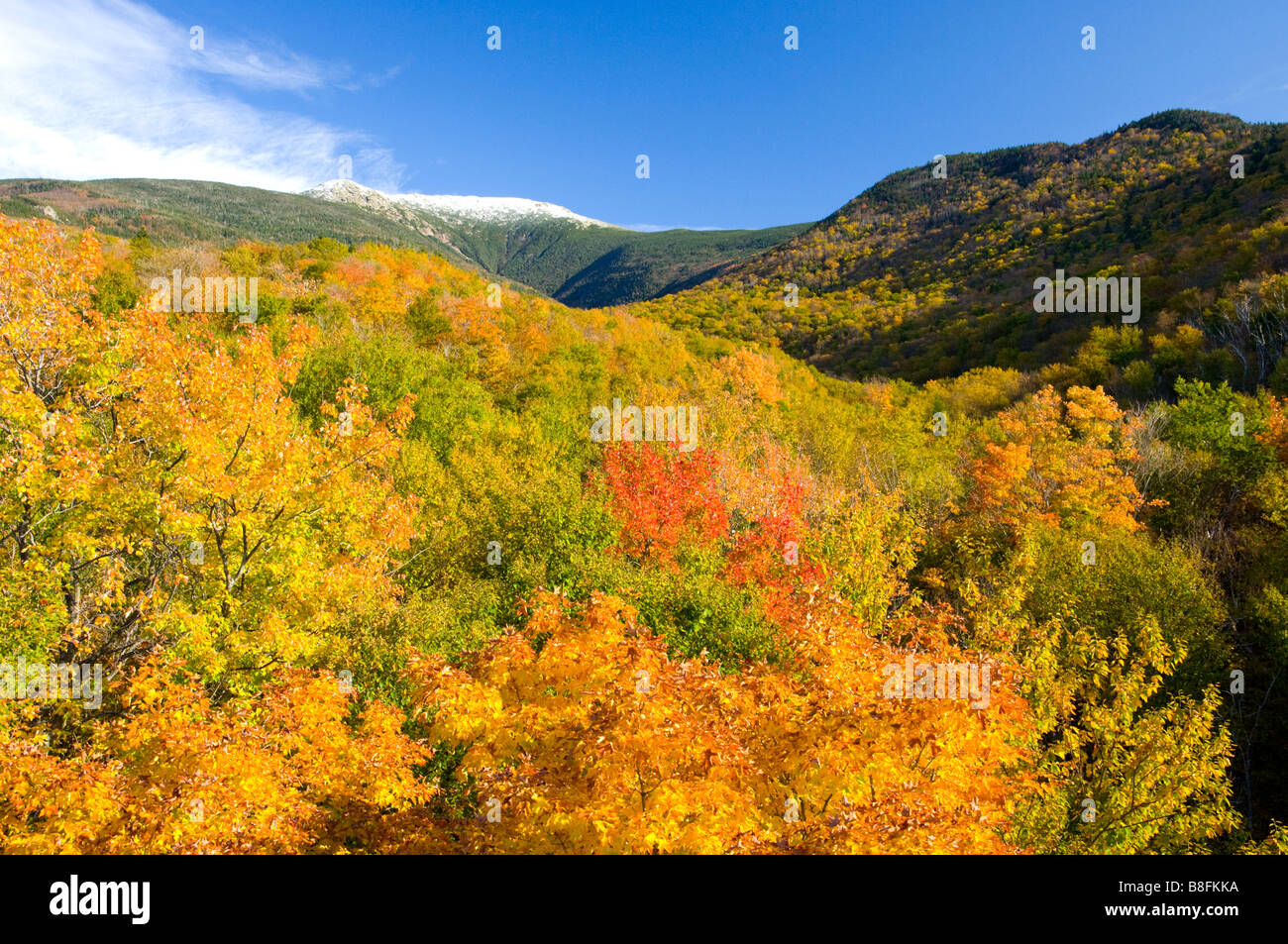 Fall foliage color with snow on Mount Lafayette and the White Mountains ...