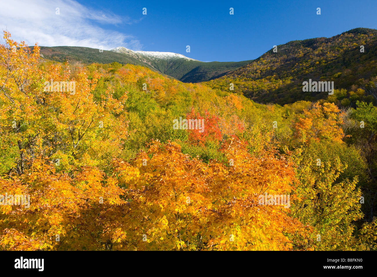 Fall foliage color and snow on Mount Washington from Franconia Notch in ...