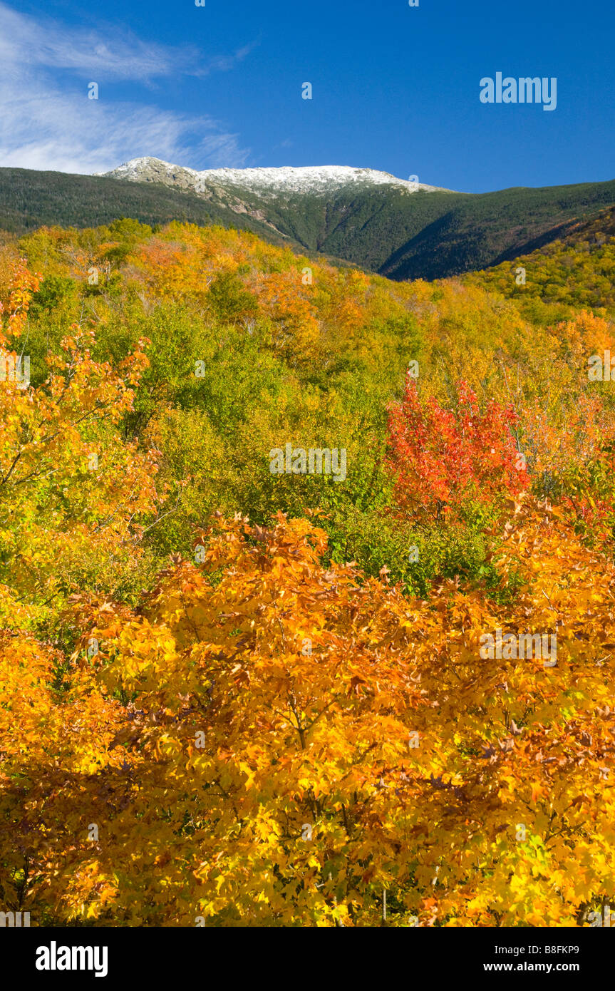 Fall foliage color with snow on Mount Lafayette and the White Mountains ...
