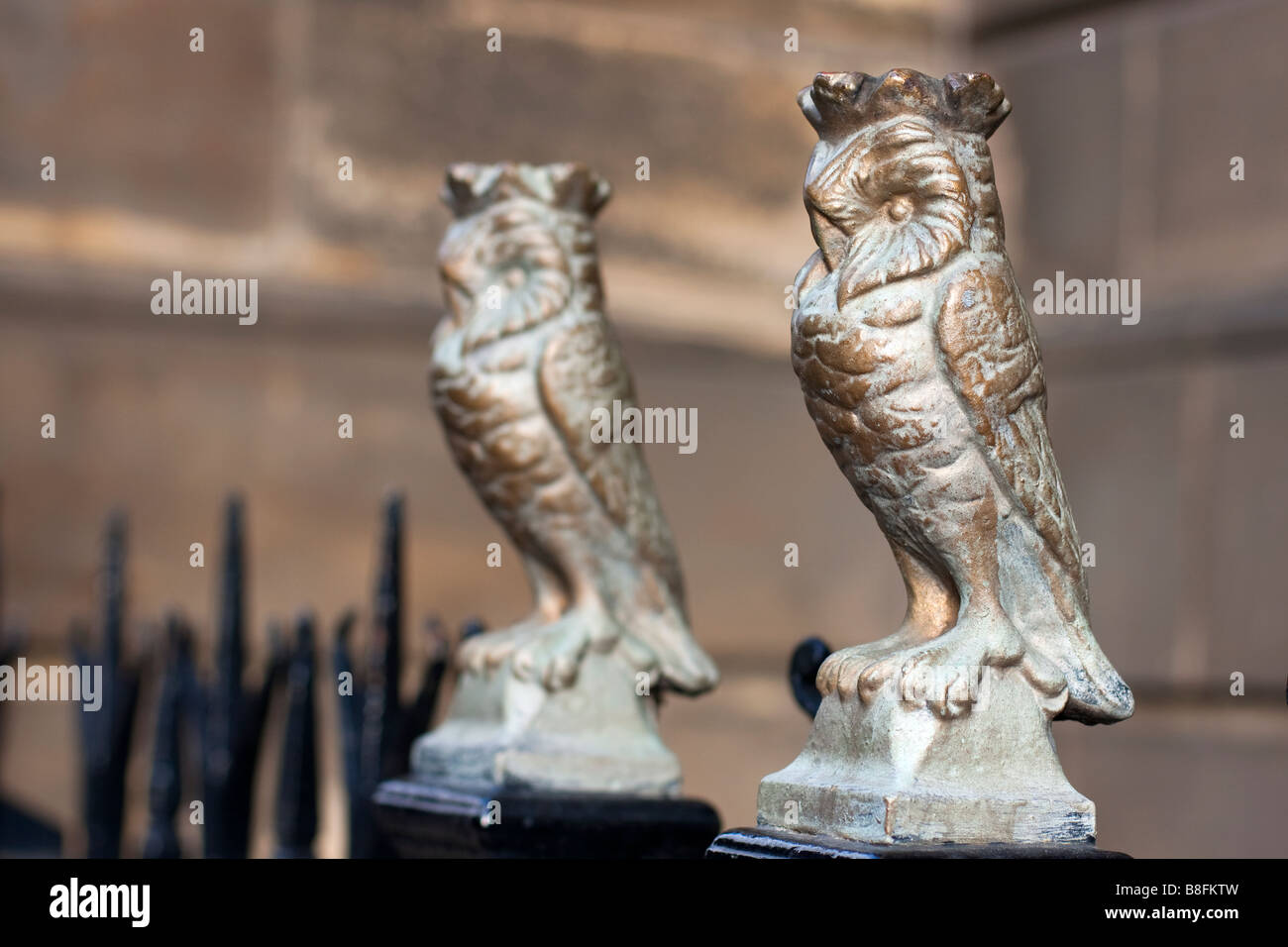 Leeds golden owl, fencing detail around main Library Stock Photo - Alamy