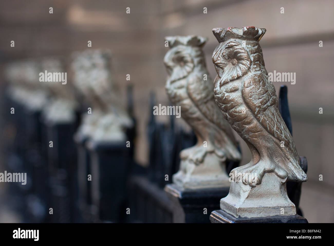 Leeds golden owl, fencing detail around main Library Stock Photo - Alamy