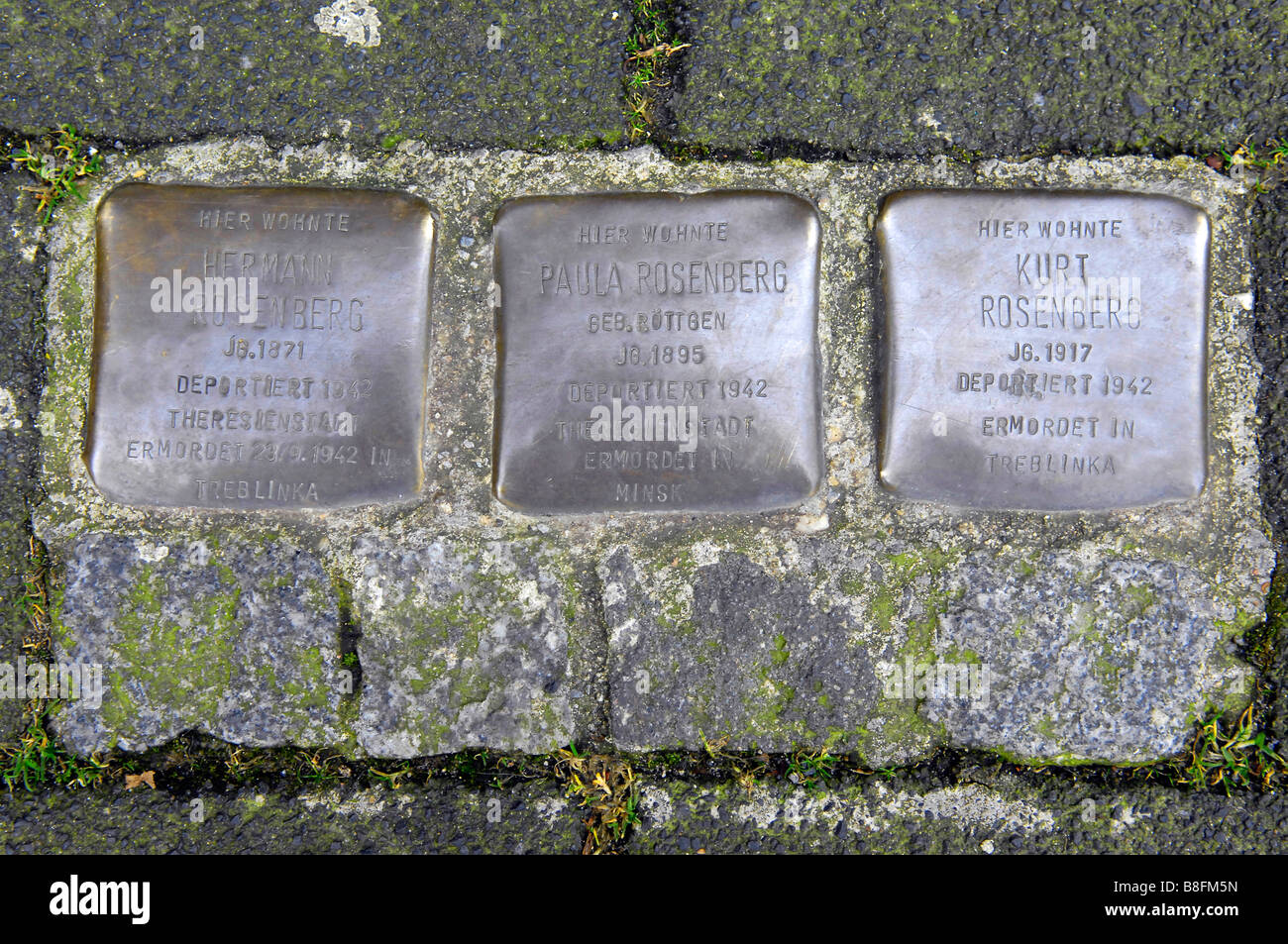 Stumbling stones stolpersteine hi-res stock photography and images - Alamy