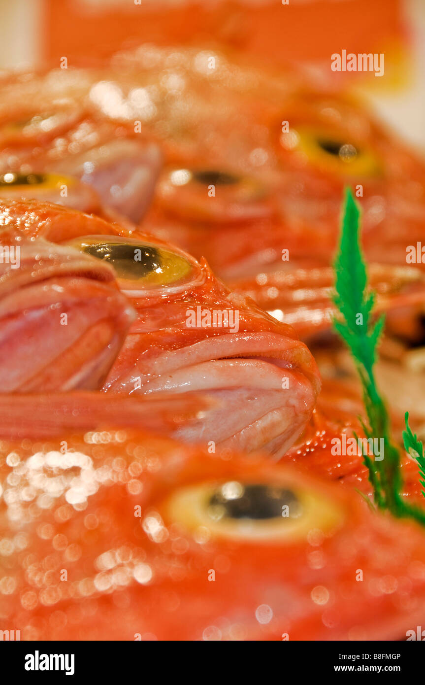 Big Eye Ocean Perch Helicolenus barathri Hector 1875 occurs in ...