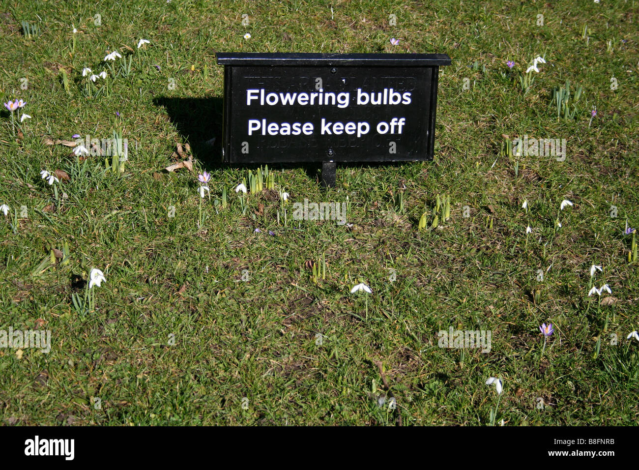 Sign warning people of flowering bulbs and to keep off the grass Stock ...