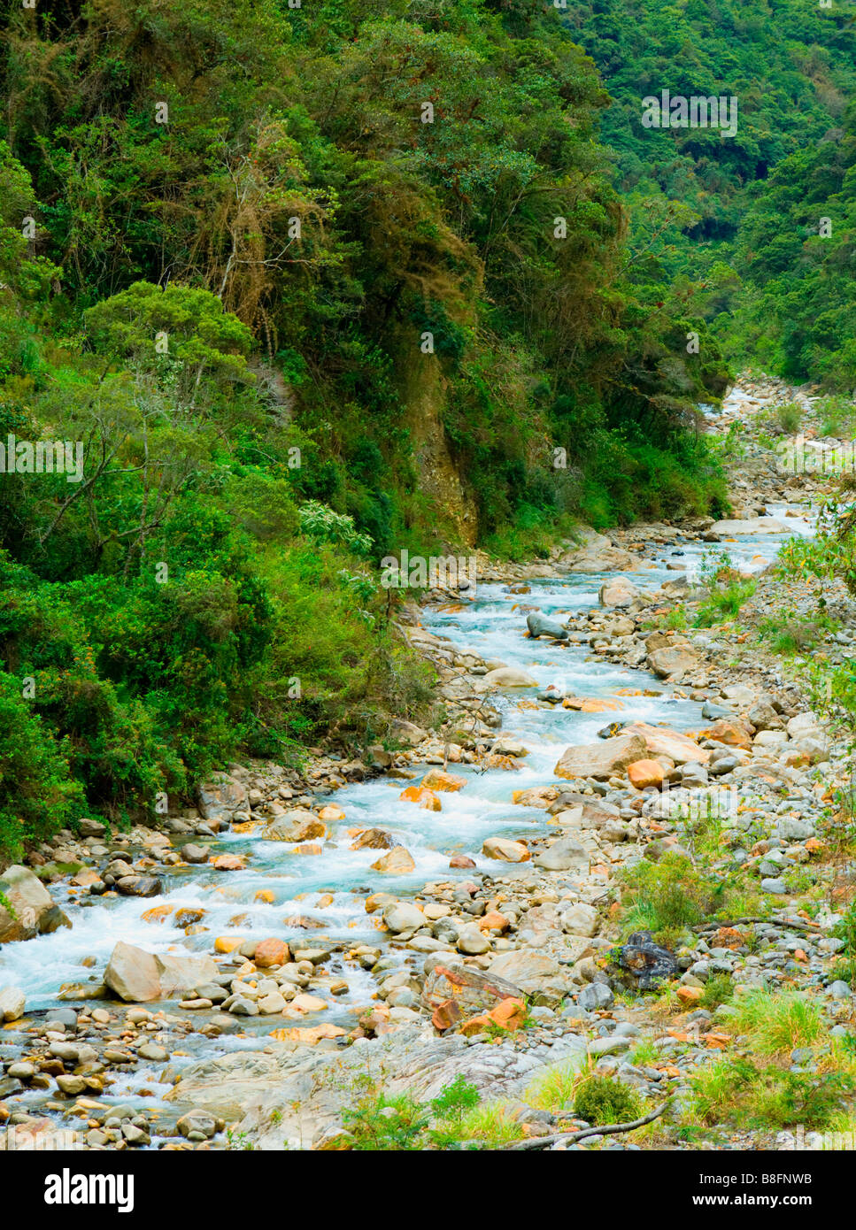 Andean environment hi-res stock photography and images - Alamy