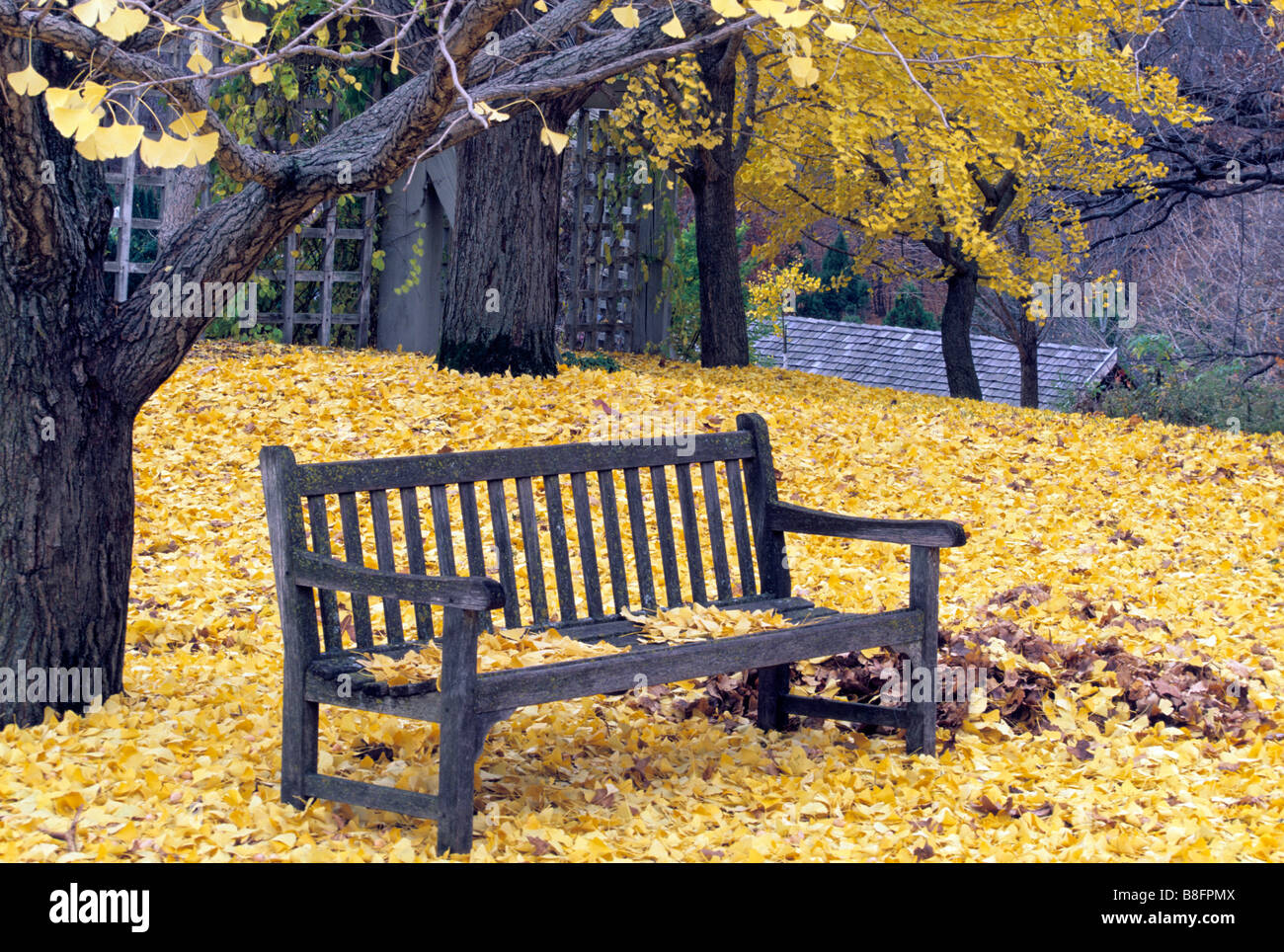WOODEN BENCH AT UNIVERSITY OF MINNESOTA LANDSCAPE ARBORETUM IN ...