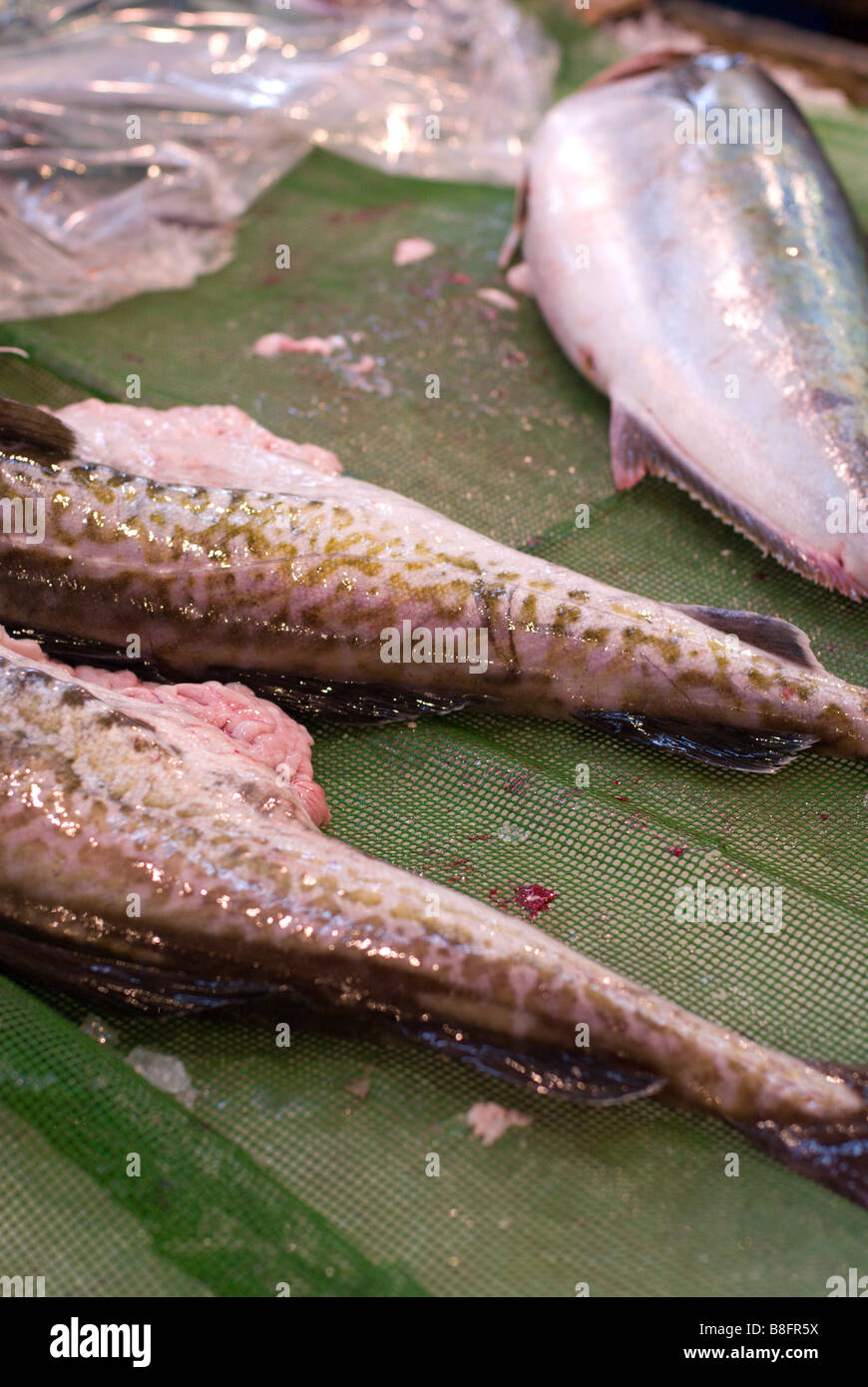 Fish samples hi-res stock photography and images - Alamy
