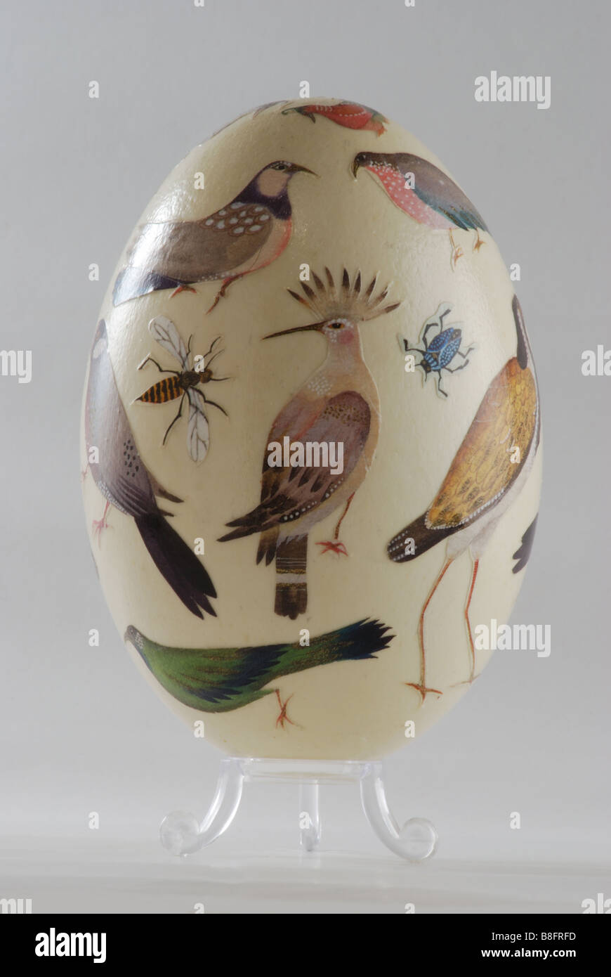 Real egg hi-res stock photography and images - Alamy