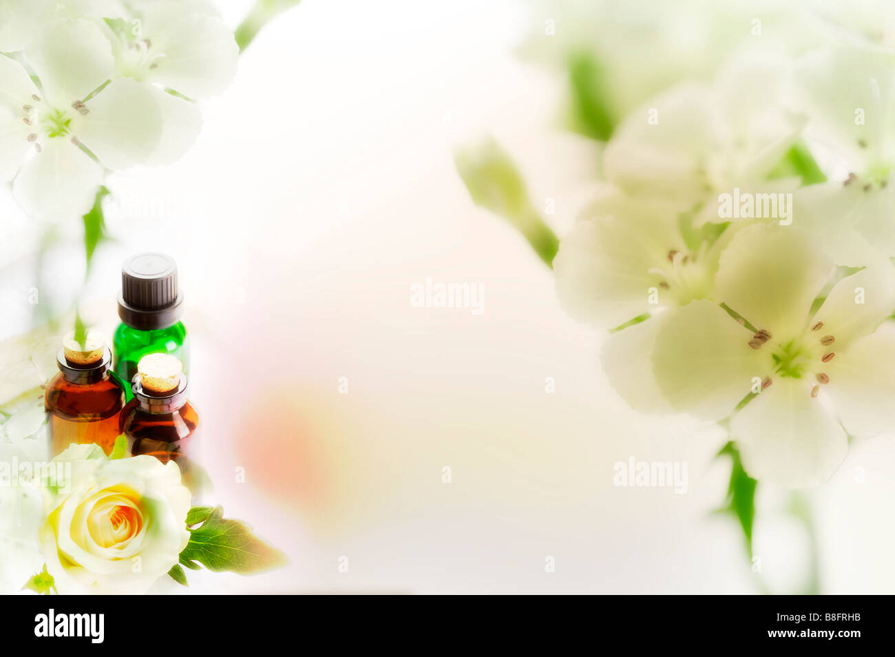 Digital oils hi-res stock photography and images - Alamy