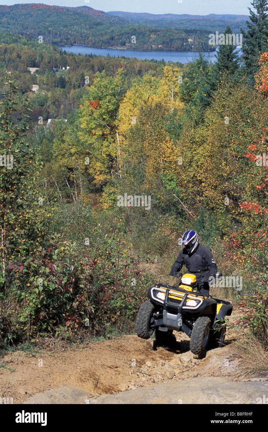 ATV riding the remote bush trails in Canada Stock Photo - Alamy