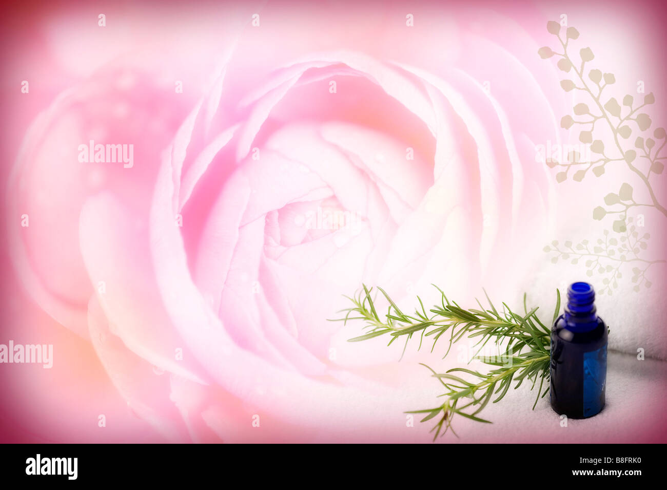 Oilgreen hi-res stock photography and images - Alamy