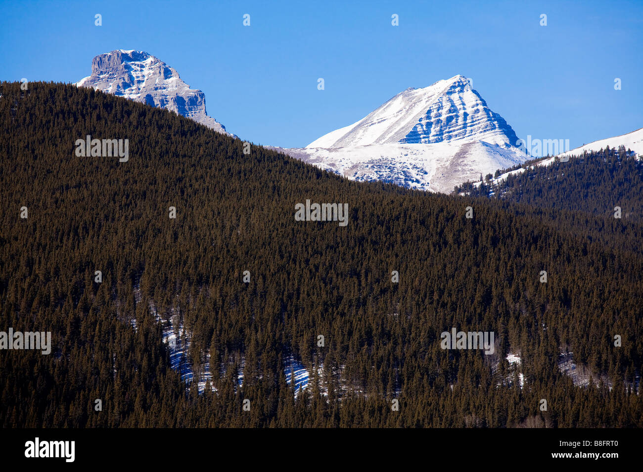 Mountains, southern Alberta, Canada Stock Photo - Alamy