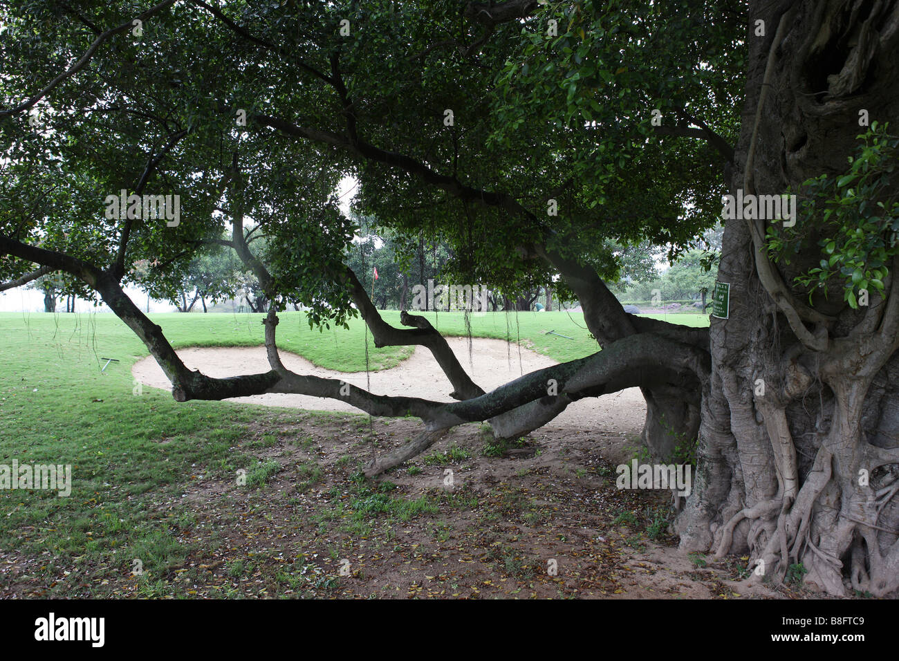 When in the course hi-res stock photography and images - Alamy