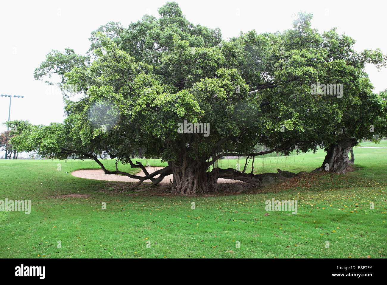 When in the course hi-res stock photography and images - Alamy