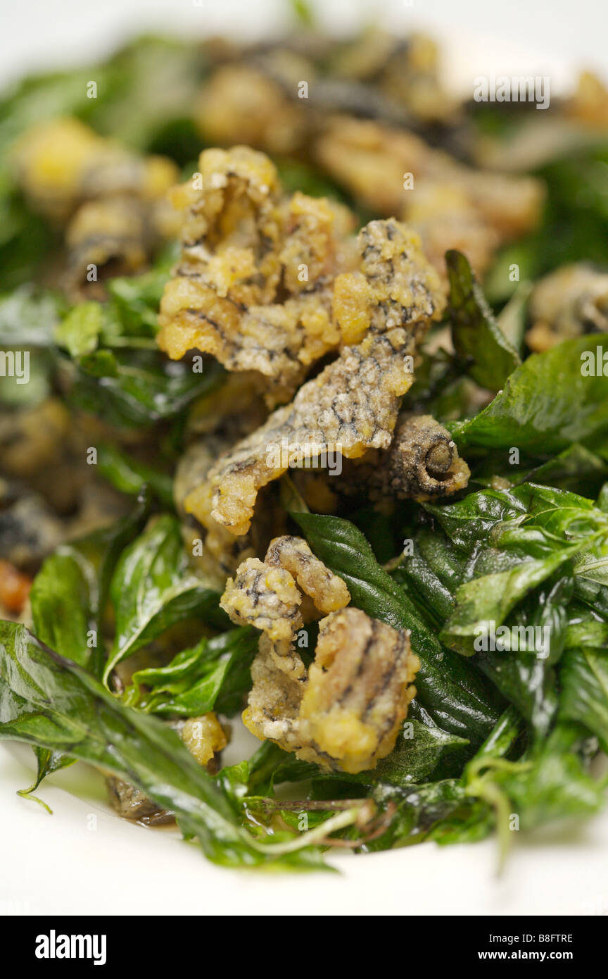 Fried snake hi-res stock photography and images - Alamy
