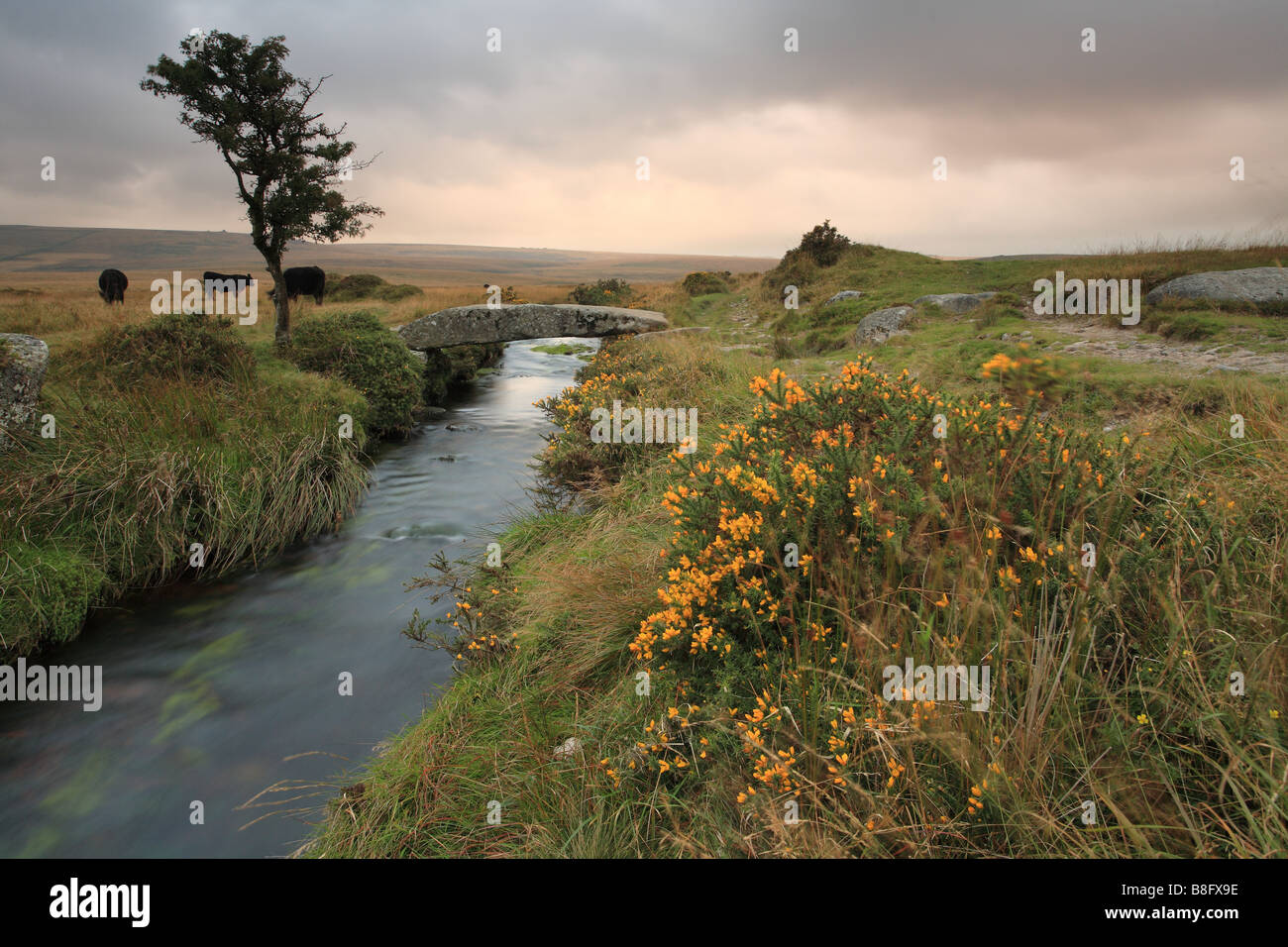 Dartmoor stream with small clapper bridge near Scorhill Dartmoor, Devon ...