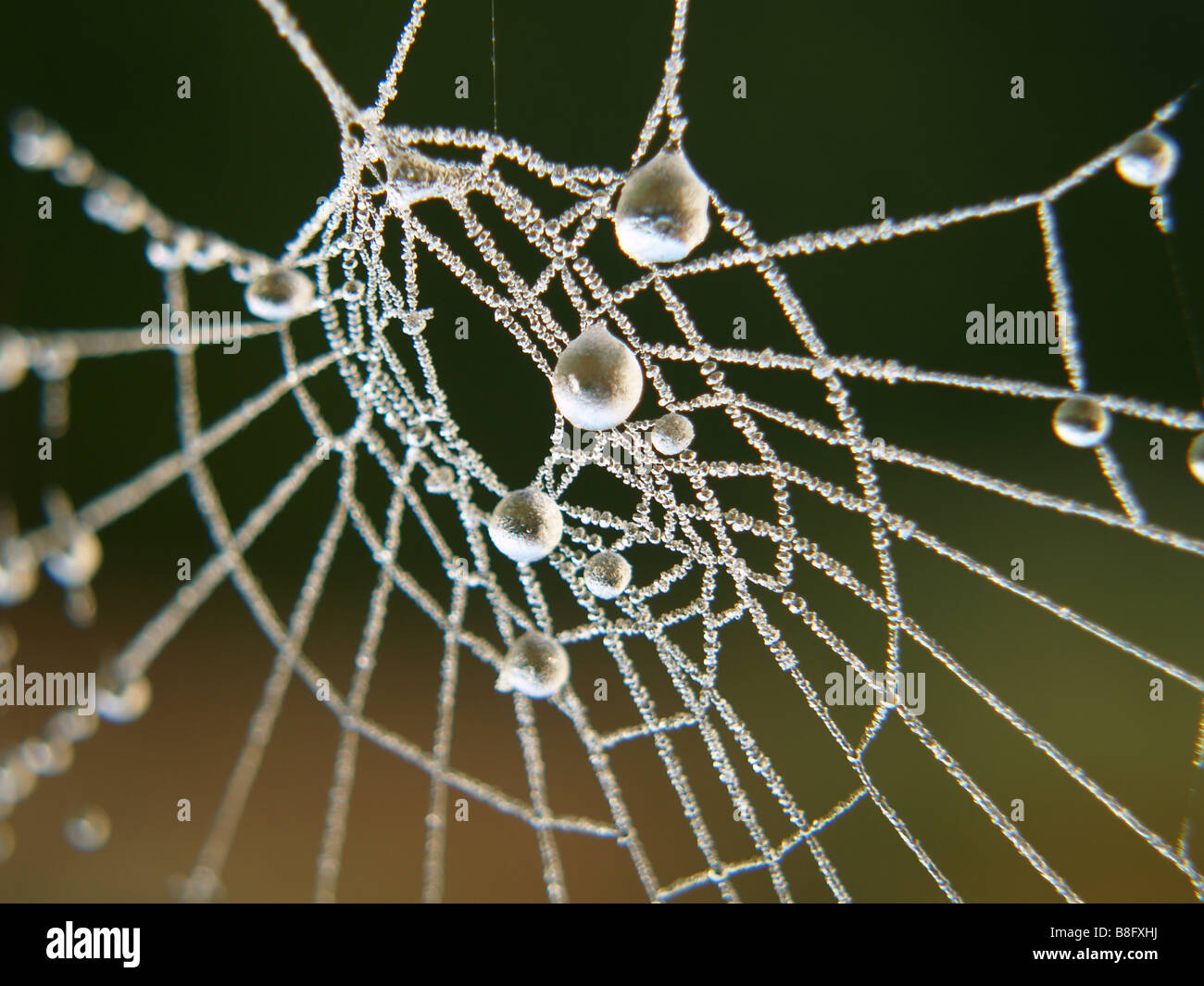 Spider web balls hi-res stock photography and images - Alamy