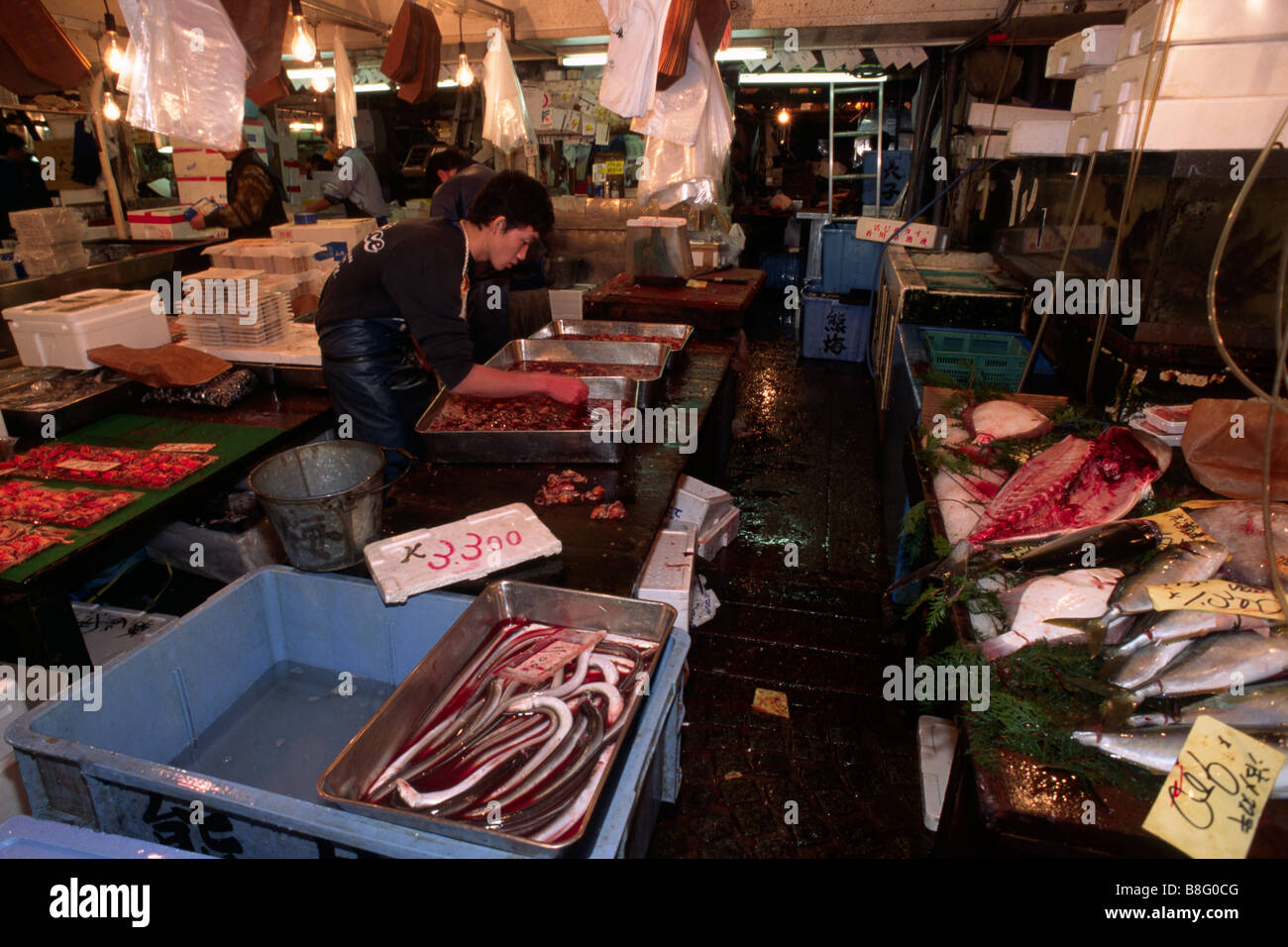 japan, tokyo, tsukiji fish market Stock Photo - Alamy