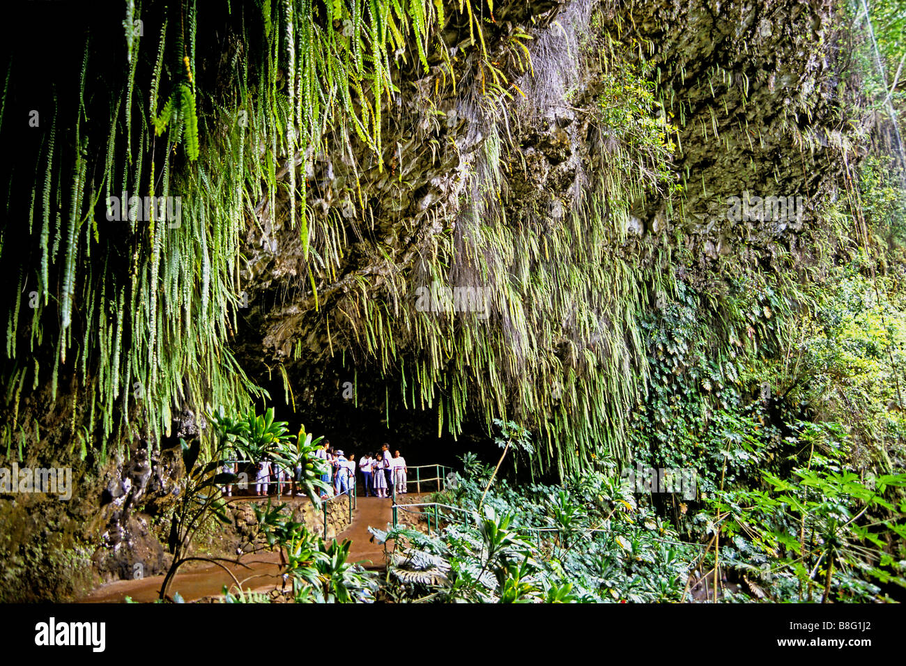 1948 Fern Grotto Wailua Kauai Hawaii USA Stock Photo - Alamy