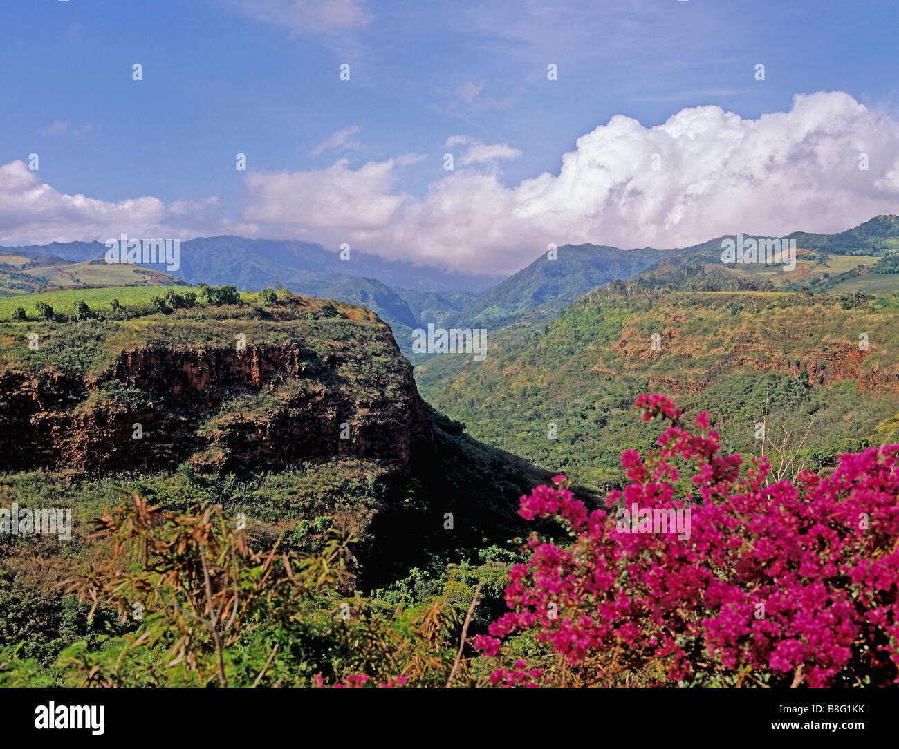1959 Inland view Waimea Kauai Hawaii USA Stock Photo - Alamy