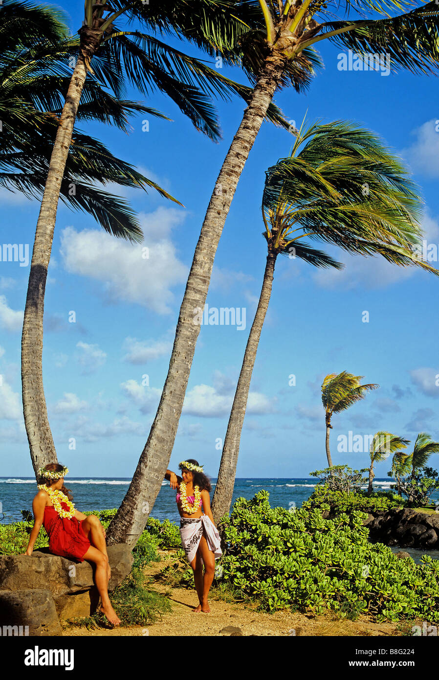 Hula girls hawaii hi-res stock photography and images - Alamy