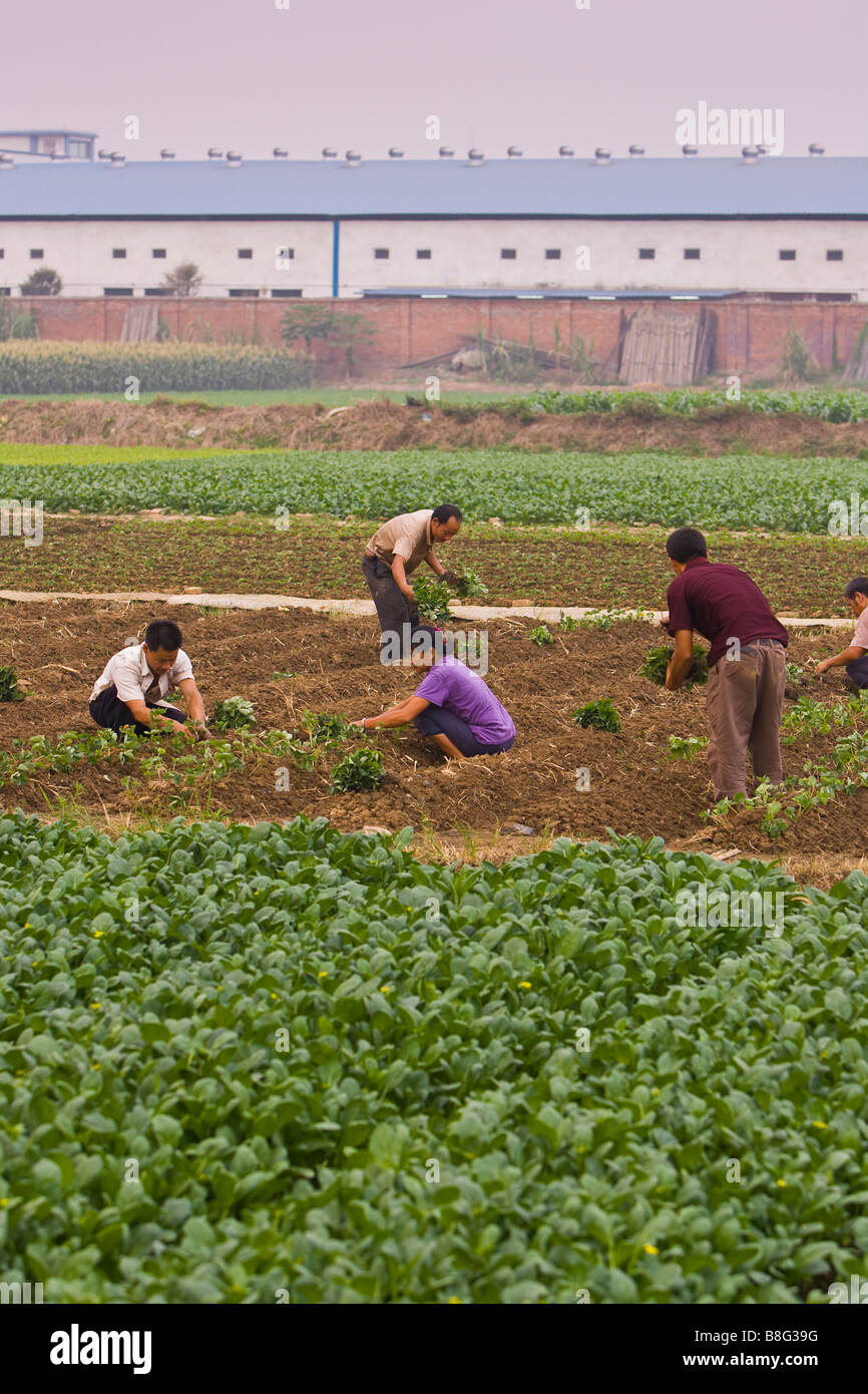 Highsun industrial zone hi-res stock photography and images - Alamy