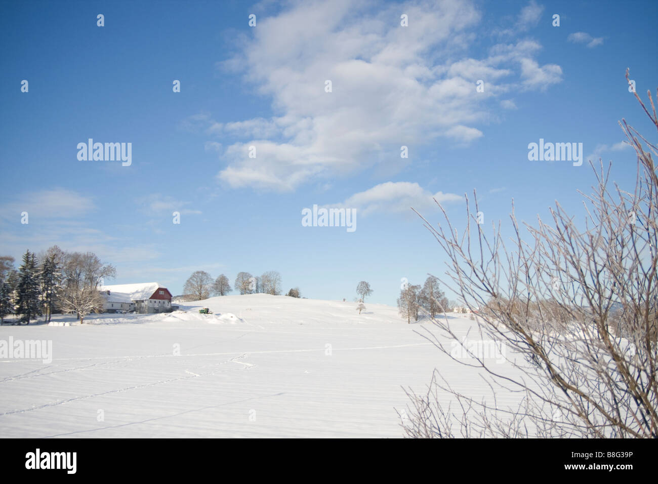 scenic snow scene Skien Telemark Norway Stock Photo - Alamy