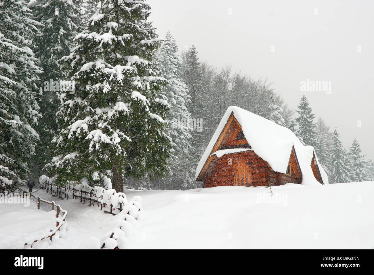 Winter snow scene in Tatra Mountains, Poland Stock Photo - Alamy